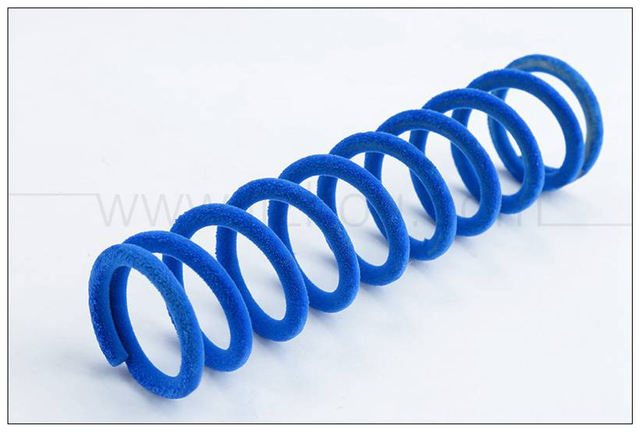 lizhou spring Flocking spring_9685